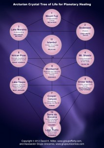 Tree of Life - Group of Forty