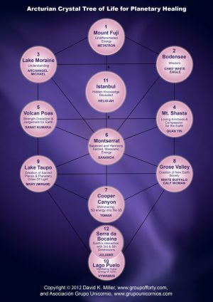 Tree of Life - Group of Forty